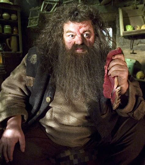 Image Rubeus Hagrid Ootp Harry Potter Wiki