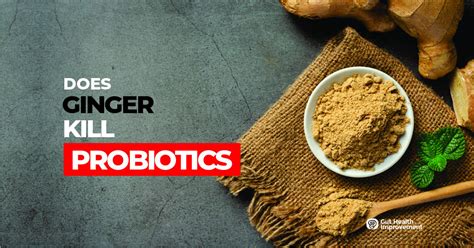 Does Pasteurization Kill Probiotics Evidence Backed Answer