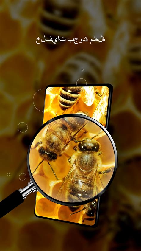 خلفيات بها حشرات Apk للاندرويد تنزيل