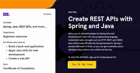 15 Best Codecademy Courses And Certifications Online