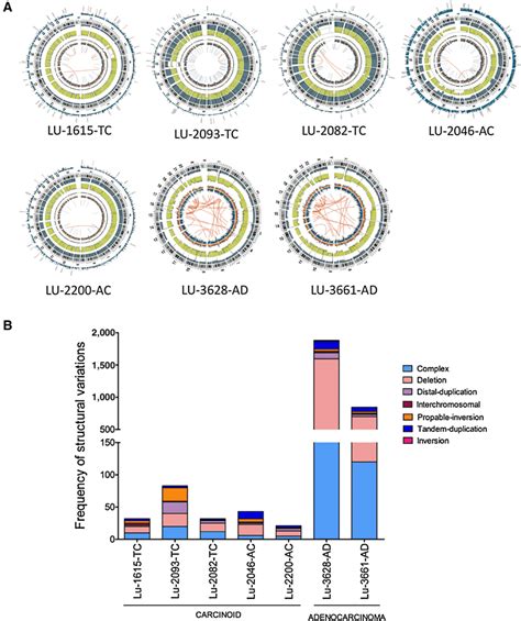 Distribution Of Somatic Structural Mutations In Lung Carcinoid Tumors
