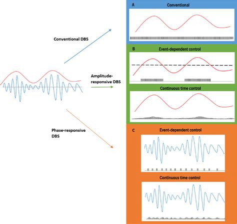 Schematic Summary Displaying Different Forms Of Dbs A Shows