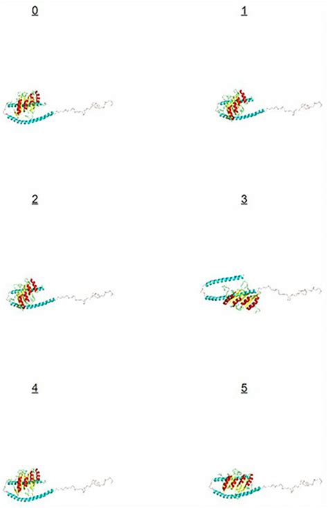 First Six Configurations Clusters Of α Synuclein Tyrosine Hydroxylase