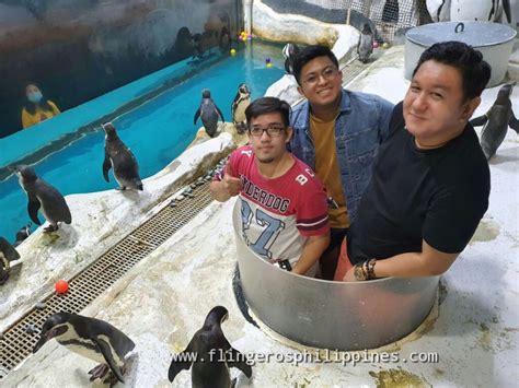 An Over And Under The Sea Adventure At Manila Ocean Parks 8 Amazing
