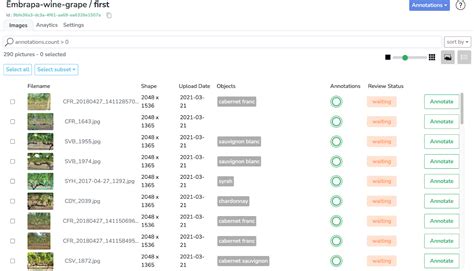 How To Train Yolov5 On A Custom Dataset Step By Step — Picsellia