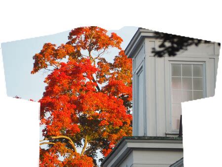 Need Assistance On Remembering How To Map Remap UV Texture From External Materials And