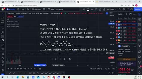 엘리어트파동 이론 2장 피보나치 수열~~초보님들 보세요~~ Youtube