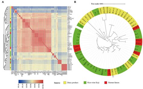 Safety Assessment Of Enterococcus Lactis Based On Comparative Genomics