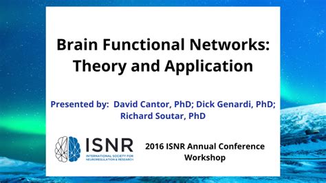 2016 Brain Functional Networks Theory And Application Isnr