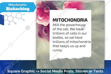Biohacking | What is Mitochondria by Louise Mulholland