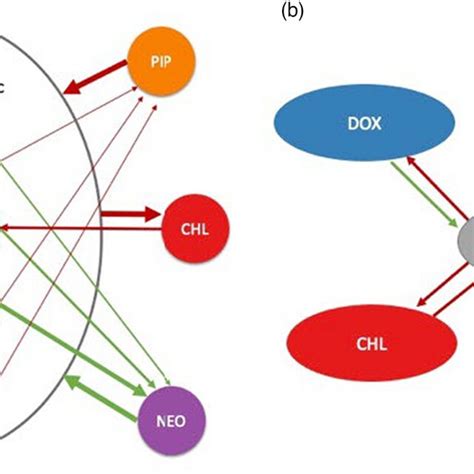 Patterns In The Relationships Between The Four Highly Synergistic