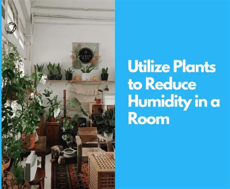 How To Reduce Humidity In A Room Naturally Best Ways