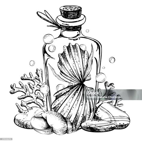 조개껍데기 바다 스펀지 산호 자갈 거품이 마개가 있는 유리병 안에 들어 있습니다 손으로 그린 그래픽 일러스트 와 흑백 컬러 라인