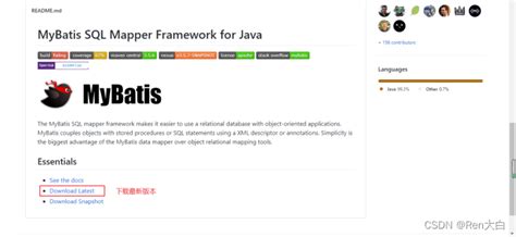 Mybatis 知识点超详细总结（入门 ＞精通）mybatis知识点 Csdn博客