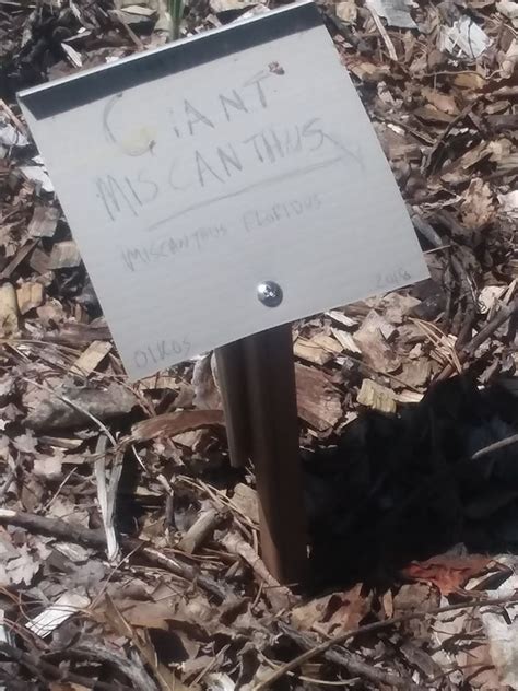 Tree Labeling Maine Tree Crop Alliance