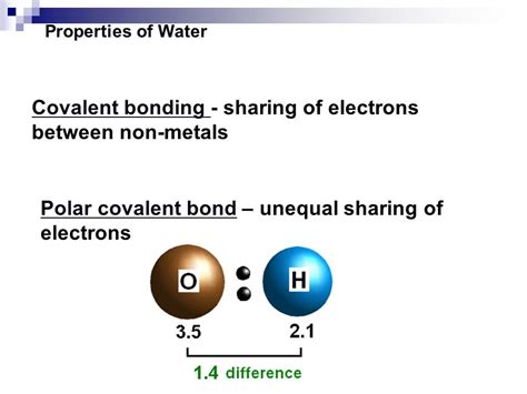 Water Covalent Bond Properties Of Water Covalent Bonding Sharing Of