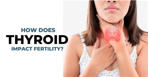 How Does Thyroid Disease Impact Fertility Best Gyenocologist In Jaipur