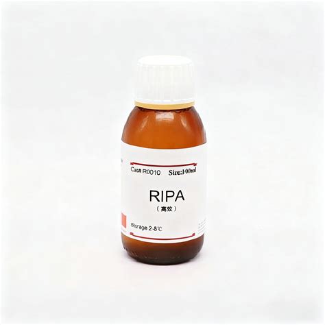Strong Ripa Buffer For Efficient Protein Extraction High Quality Cell