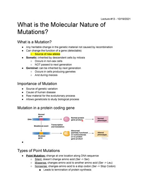 Dna Mutation And Repair Notes Bio Sc 2200 Lecture 13 1019 What