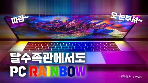 피씨레인보우 소개가 이렇기 힘들줄이야 Youtube