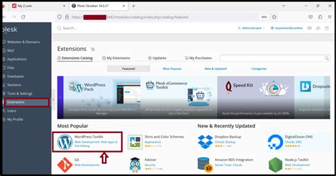 How To Install WordPress In Plesk Server Support Desk