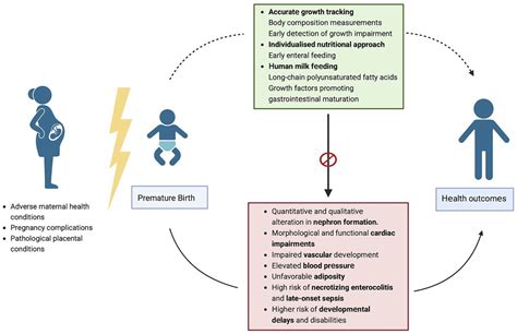 Frontiers Beyond Survival The Lasting Effects Of Premature Birth