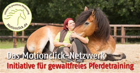 das motionclick netzwerk initiative für gewaltfreies pferdetraining motionclick de