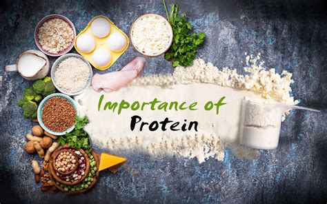 What Is Protein Powder And Why Is It Important