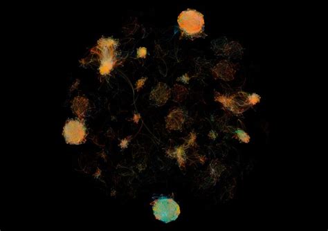 Exploring Human Host Microbiome Interactions In Health And Disease