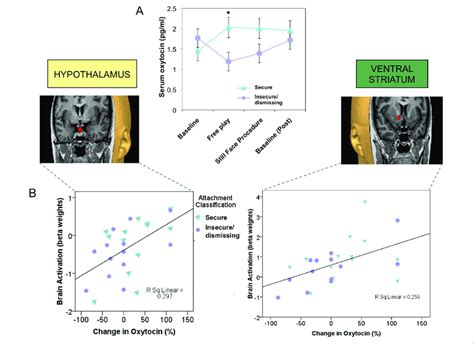 Plasma Oxytocin Response To Mother Infant Interaction Is Reduced In