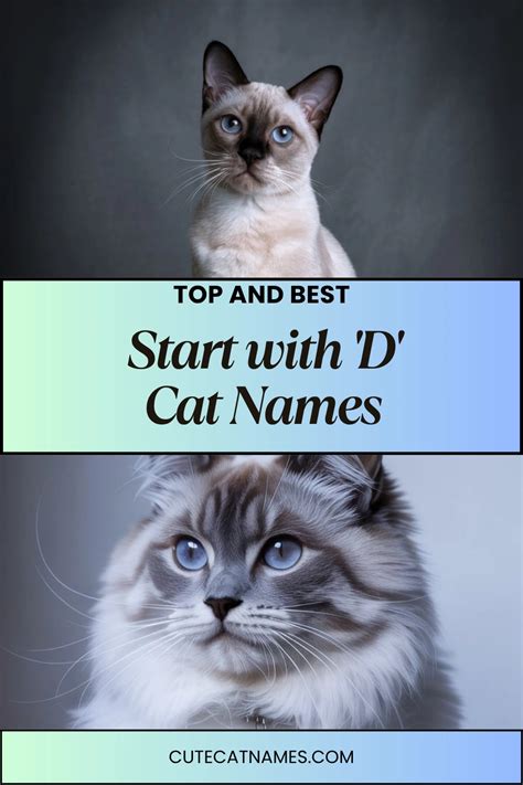Scientist Cat Names Chemistry Physics And Scientific Naming Ideas For