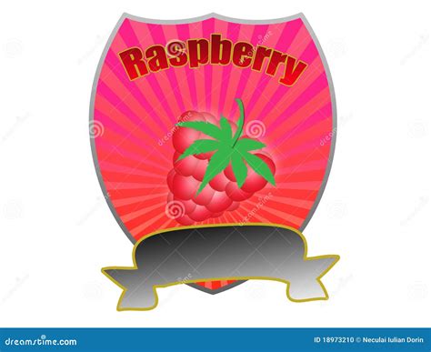 Raspberry Label Stock Vector Illustration Of Freshness 18973210
