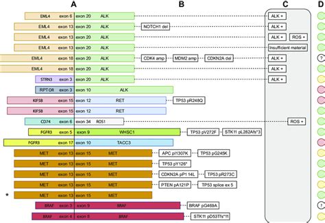 Fusions And Exon Skipping Events Found Through Rna Next Generation