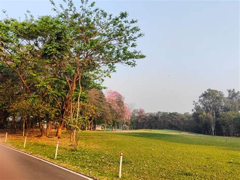 Shreya Garg On Linkedin Opinion Learning Experience Expectations