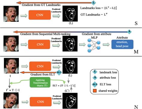 figure 1 from improving landmark localization with semi supervised