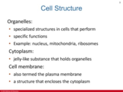 SOLUTION Anatomy Physiology Chapter 3 Cell Structures And Their Functions Studypool