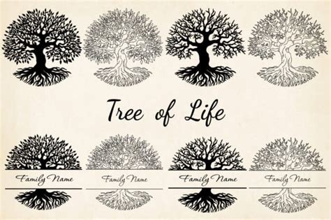 Hand Drawn Tree Of Life Graphic By Paper Art Garden Creative Fabrica