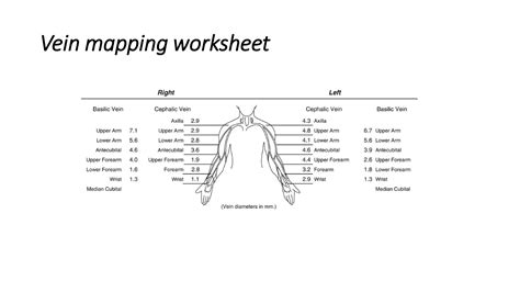 Ultrasound Vascular Mapping Pdf