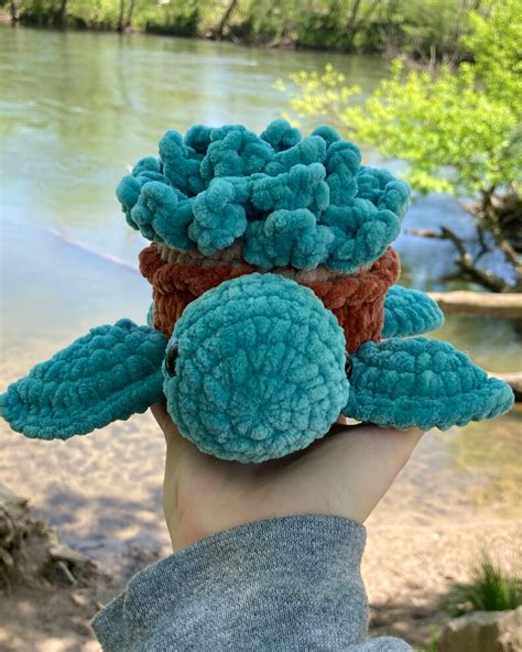 Succulent Turtle Etsy