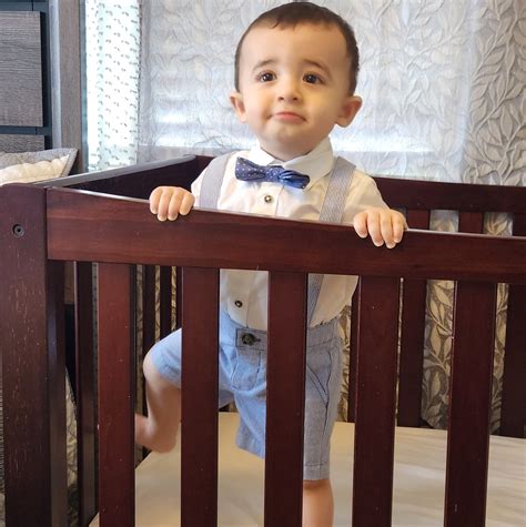 رهبر حزب راست افراطی آلمان، سنگ تمام گذاشت Fahim Fetrat Facebook