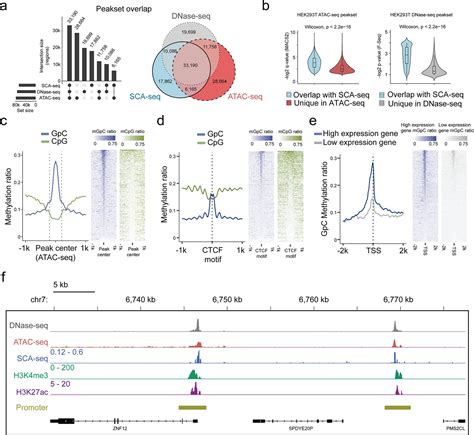 Spatial Chromatin Accessibility Sequencing Resolves High Order Spatial