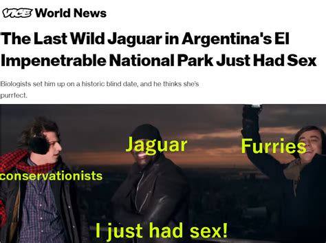 Congrats On Sex Jaguar Nice R Dankmemes