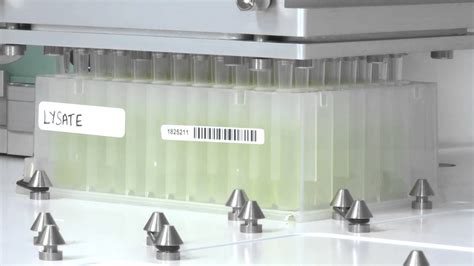 Dna Extraction System At Sofia Flick Blog