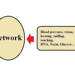 Bio IoT Communicationnetwork Architecture Download Scientific Diagram