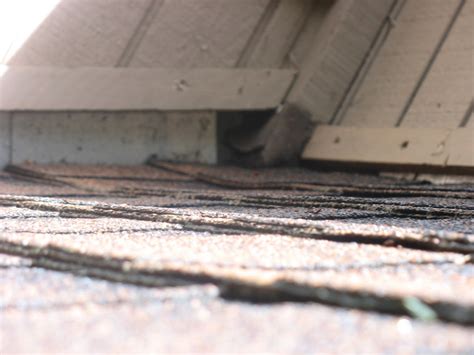 Netzerolife Measuring Insulation Effectiveness