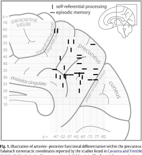 Figure 1 From Delineating Self Referential Processing From Episodic
