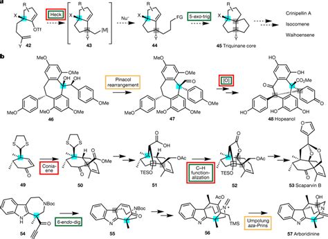 Quaternary Centre Guided Synthetic Analysis Can Apply To Diverse