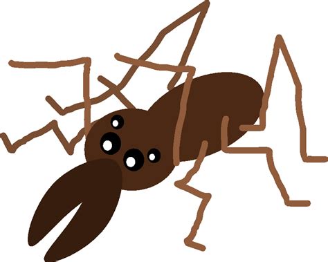 Myrmarachne By Felipesagaz On Deviantart