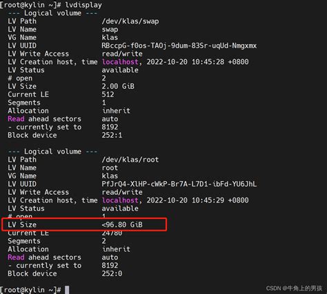 Kylin Ext34 Xfs手动扩容根分区kylin Server V10gfb Release 2204 Build03arm64