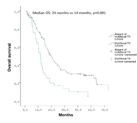 Effect Of Eastern Oncology Cooperative Group Performance Status On